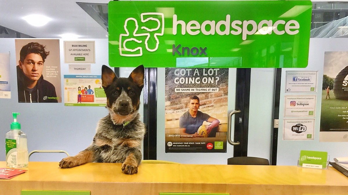 headspace Knox | Youth Mental Health Centre & Services