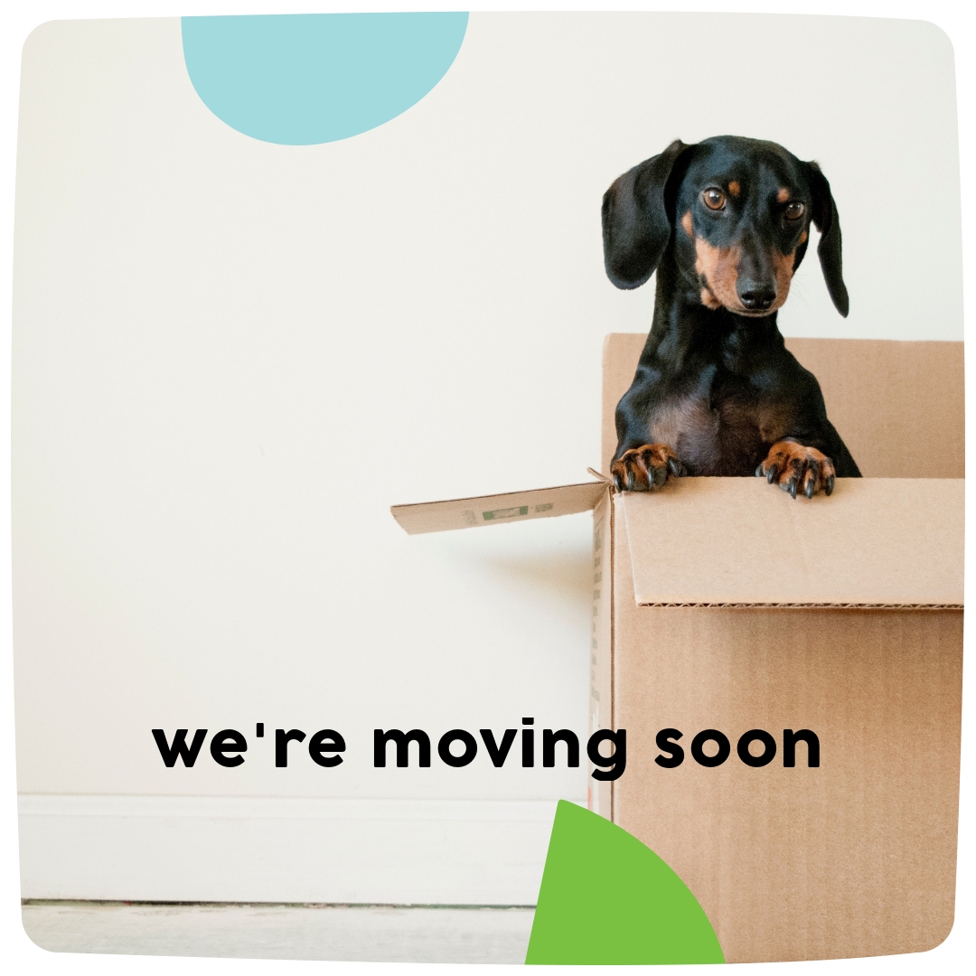 headspace Launceston has a new home