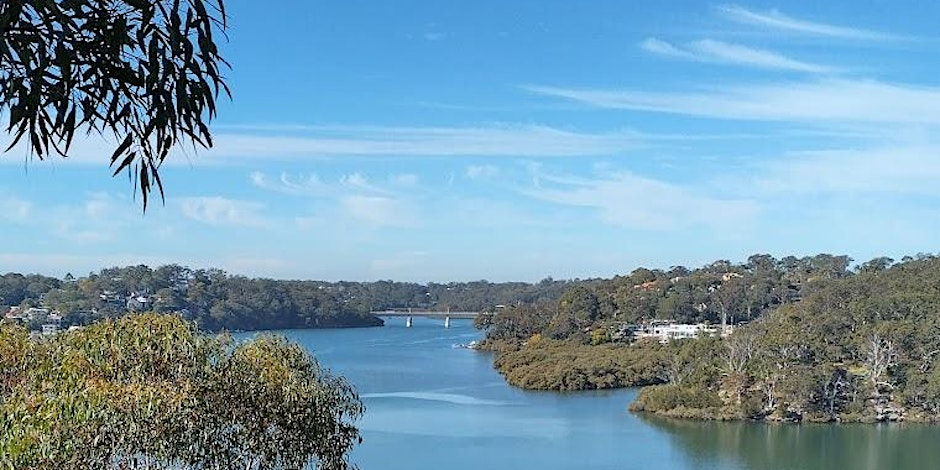 University of Sydney Nature Walkshop