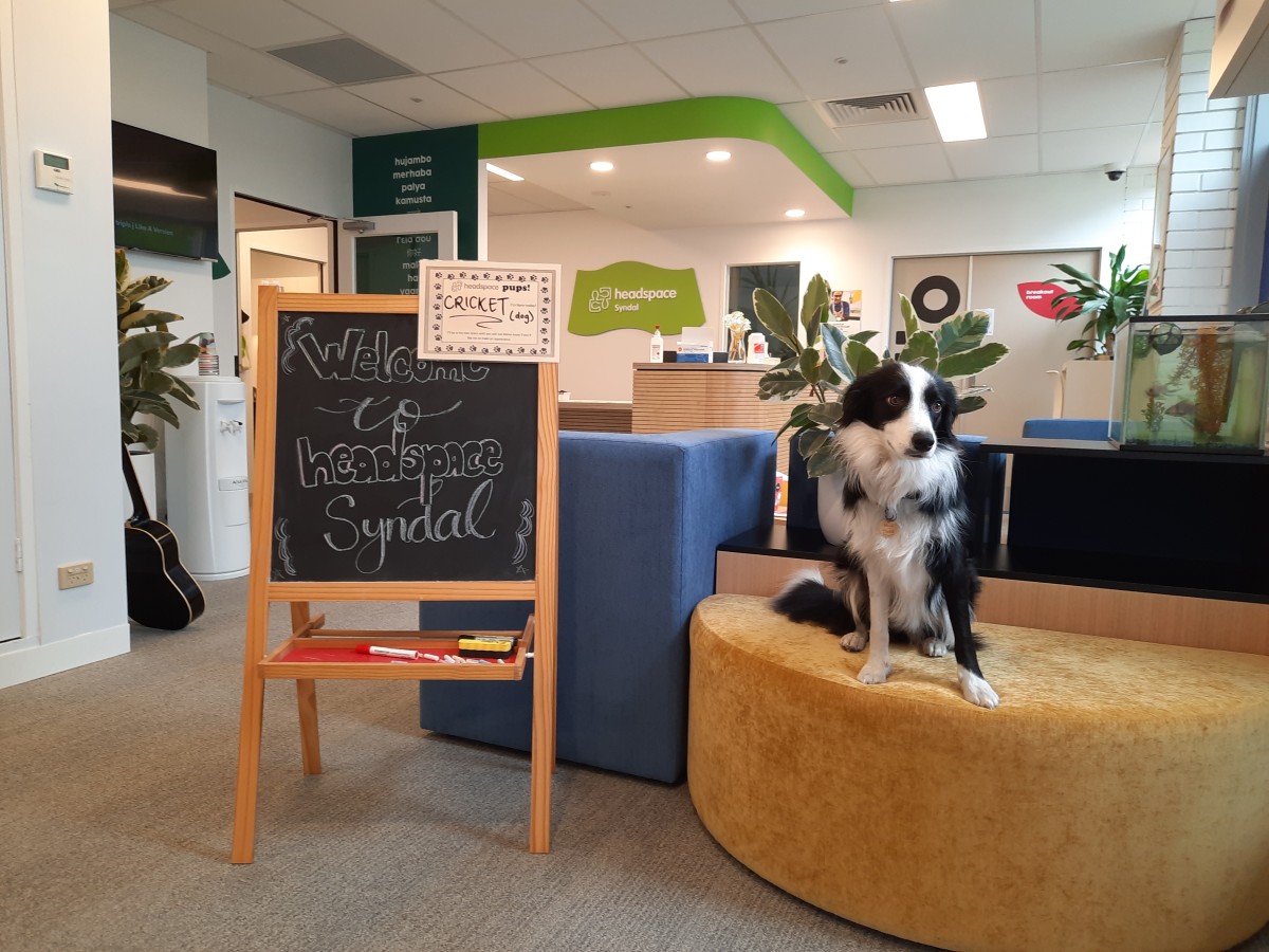 headspace Syndal | Youth Mental Health Centre & Services